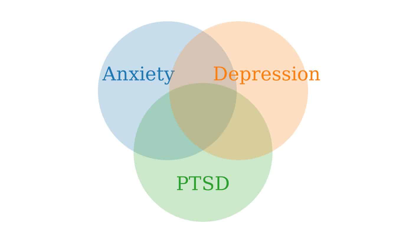 What is PTSD? – Neurocove